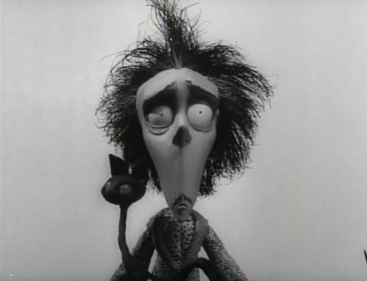 Las partes del libro y sus descripciones